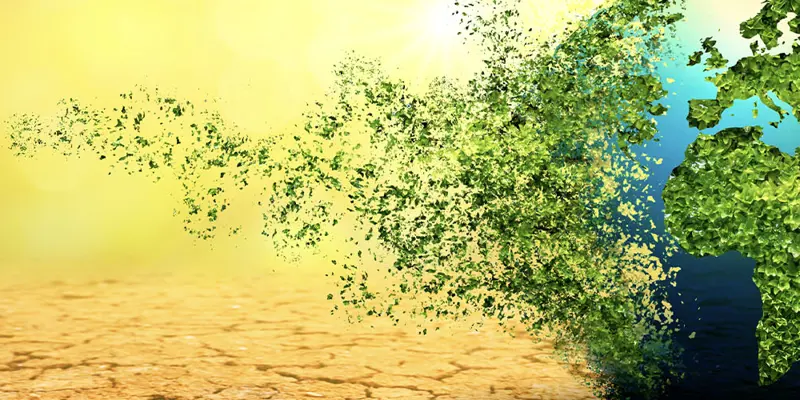 Concert for Kids & Families | South Dakota Symphony Orchestra